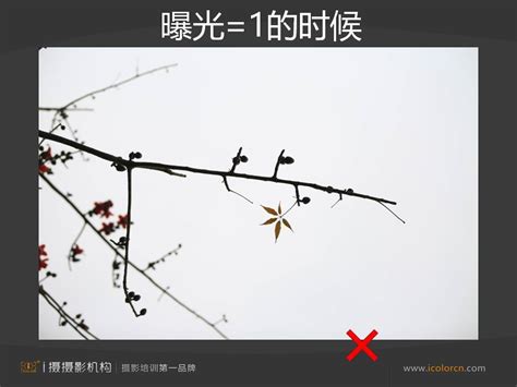 中国风木棉花海报背景 中风海报 中风图片 第6页 大山谷图库