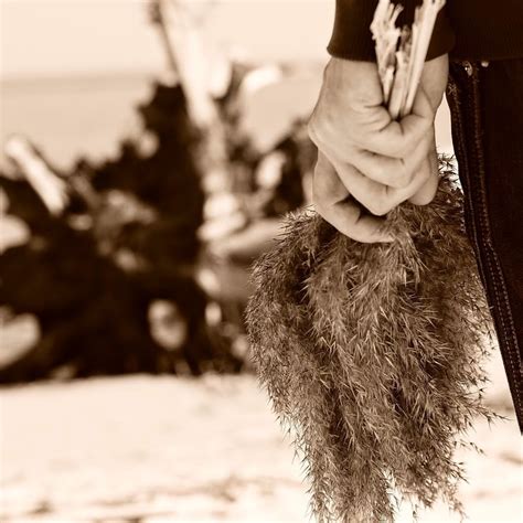 Agikgqpe4v6w51dfucgga6yuucfqyyxlw71lavd7jtg S900 C K C0x00ffffff No Rj