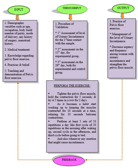 Diagram Showing Conceptual Framework Using General System Model