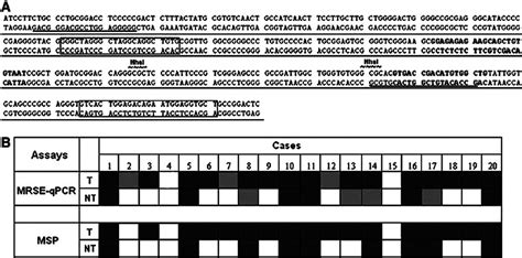 The Comparison Of The Results Of The Methylation Analysis Between