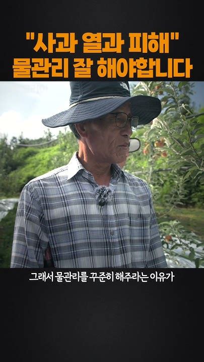 사과 열과 피해 물 관리를 잘 해야 합니다 Youtube