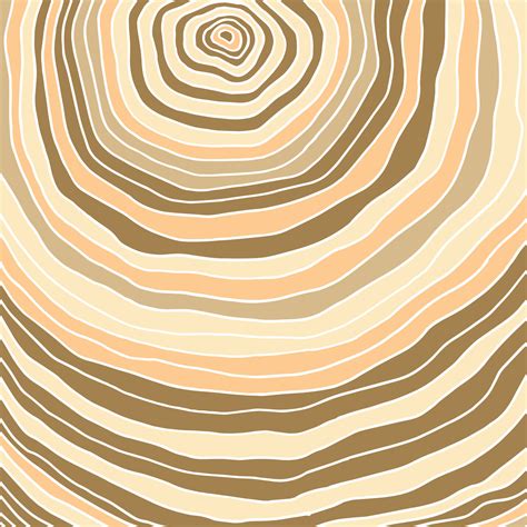 Cross Section Vector Art Icons And Graphics For Free Download