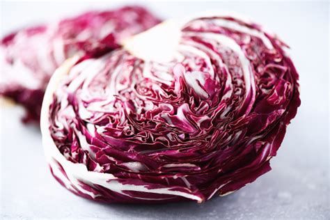 회색 콘크리트 배경에 Radicchio 보라색 보라색 샐러드 공간을 복사 원시 채식주의 채식 개념 0명에 대한 스톡 사진 및 기타 이미지 Istock