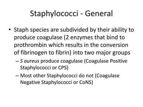 Ppt Staphylococcus Powerpoint Presentation Free Download Id 1589844