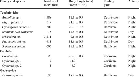 The Number Of Beetles Captured And Species Composition Of The Ground Download Table
