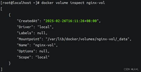 Docker数据持久化存储 Csdn博客