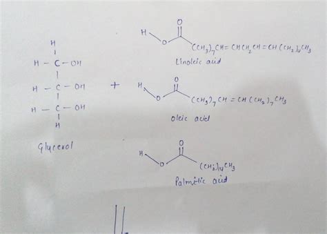 [solved] 2 Draw The Structure Of A Mixed Triglyceride Formed From Glycerol Course Hero