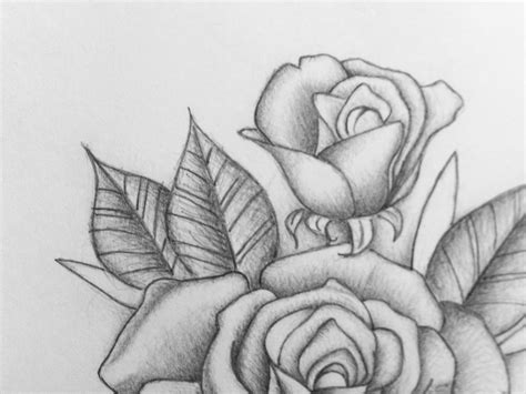 Pencil Drawing Rose A Beginners Guide To Capturing Elegance In Graphite
