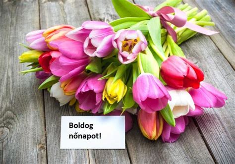 Nőnapi Köszöntő Proaktivdirekt Életmód Magazin és Hírek