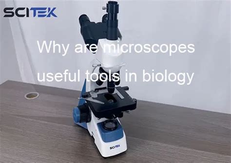 Why Are Microscopes Useful Tools In Biology Maxqual เครื่องมือแพทย์