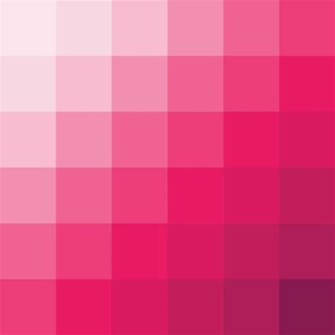 Cores Que Combinam Com Rosa Saiba Quais São E 80 Modelos