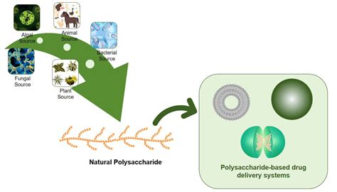 Natural Polysaccharide Development Services Nucleic Acid Formulation