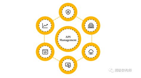 Api平台 知识资讯 龙石数据