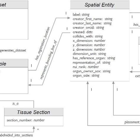 Data Specification Diagram Major Entities And Their Relationships Are Download Scientific