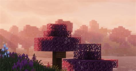 Solas Shader Ambiances Immersives Shader Minecraft Minecraft Fr