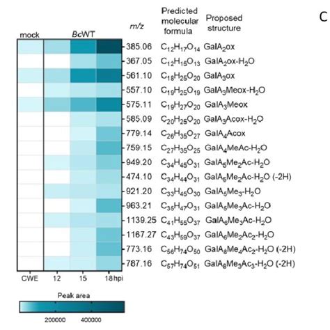 Candidate Selection Using A Three Step Filtering Strategy A