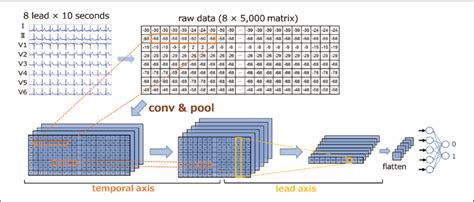 Convolutional Neural Network Analysis Download Scientific Diagram