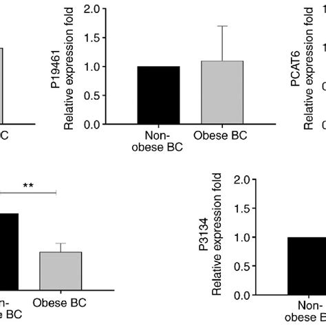Schematic Diagram Of Long Non Coding Rna Lncrna Function 1 Lncrna Download Scientific