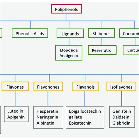 Classification Of Polyphenols And Flavonoids Examples Of Each Subgroup Download Scientific