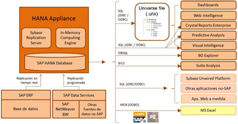 Conectividad De Sap Hana Con Los Componentes Sap Businessobjects Bi O