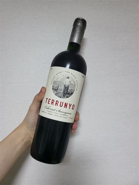 가성비 와인 추천 주식 에펨코리아