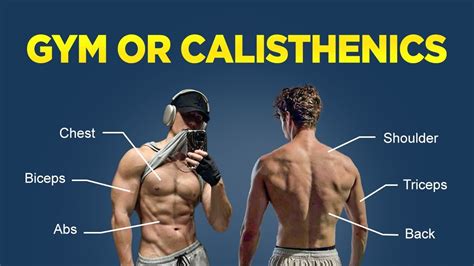 Gym Vs Calisthenics Youtube