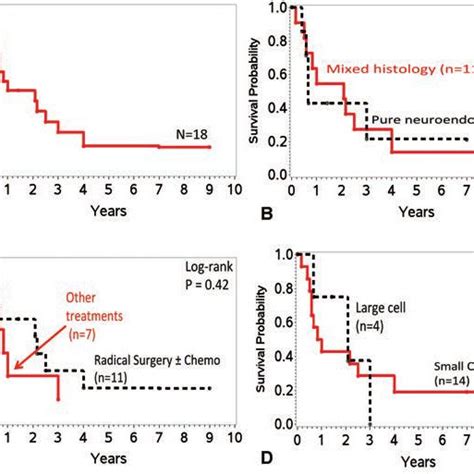 Overall Survival Of Neuroendocrine Urinary Bladder Cancer A Over Time Download Scientific