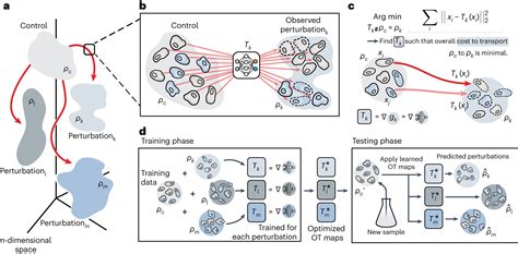 Prediction Of Drug Effect At Jose Huggins Blog