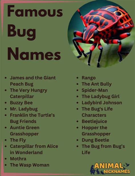 unique and fun bug names for creepy crawlies [ 500 ideas ]