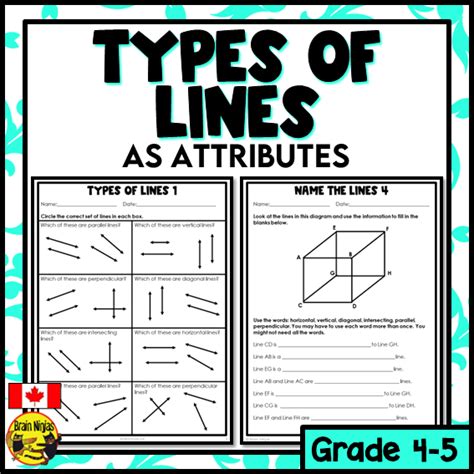 Different Types Of Line — Make A Scene Years 1 2 Cgp Plus Worksheets Library