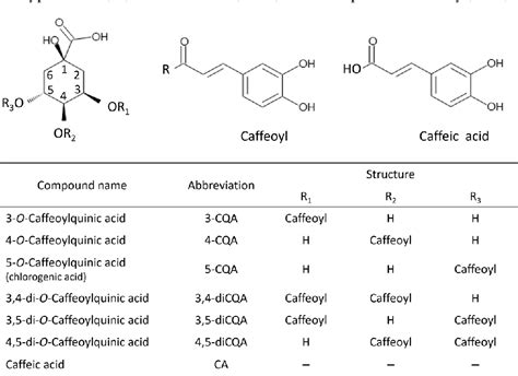 Figure 1 From Effects Of Cooking Methods On Caffeoylquinic Acids And Radical Scavenging Activity