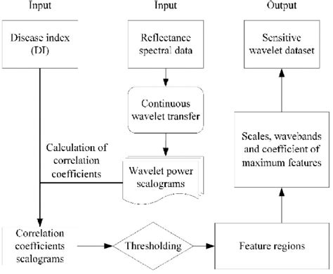 Workflow Of Feature Extraction Using Continuous Wavelet Analysis