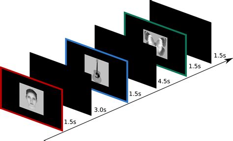 The Task — Mri Analyses Handbook 0 2 Documentation