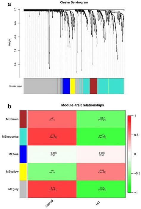 A Shows The Cluster Dendrogram Of Uc Related Modules Including Five Download Scientific