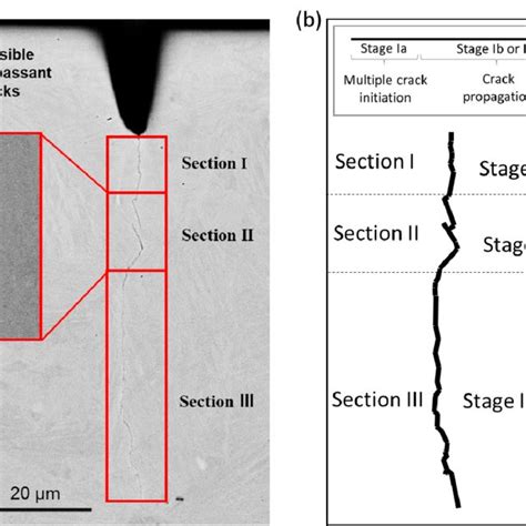 A Bse Sem Micrograph Showing The Overview Of The Crack Path After The Download Scientific