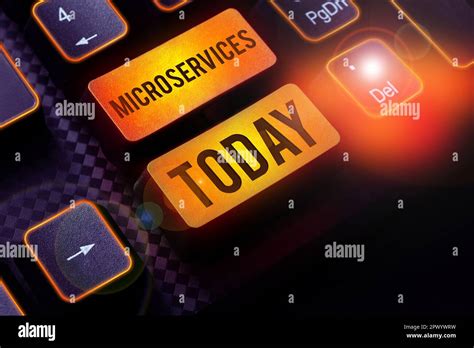 Text Caption Presenting Microservices Concept Meaning Software