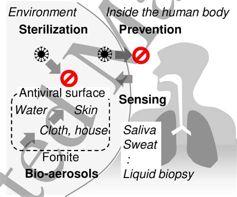 Technological Targets For The Prevention Of Viral Infection Airborne Download Scientific