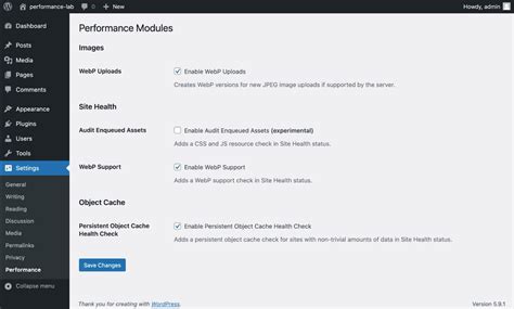 Wordpress Performance Lab Un Nouveau Plugin Officiel Pour Améliorer Vos Performances Web