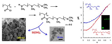 Polymers Free Full Text Polymeric Amines And Ampholytes Derived From Poly Acryloyl Chloride