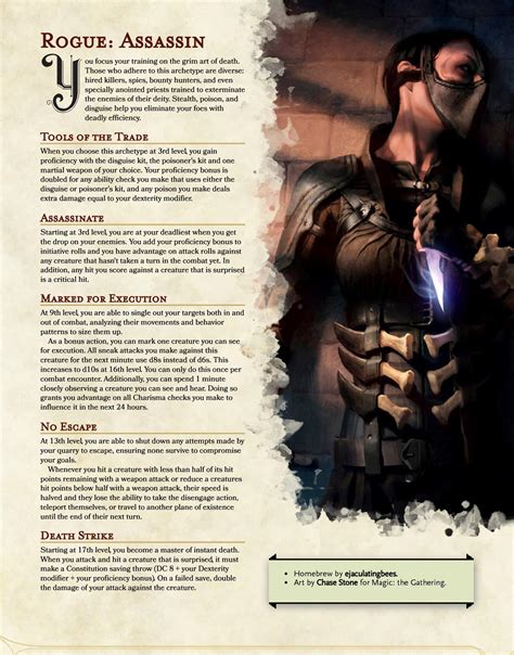 Rogue Assassin Dandd