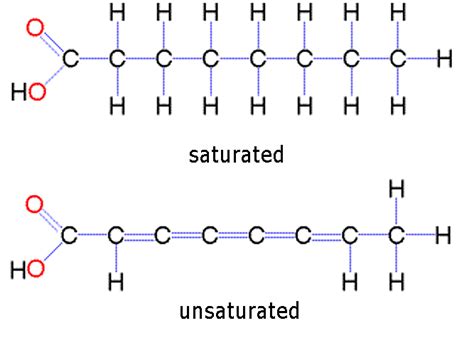 Polymer Structure Of Lipids