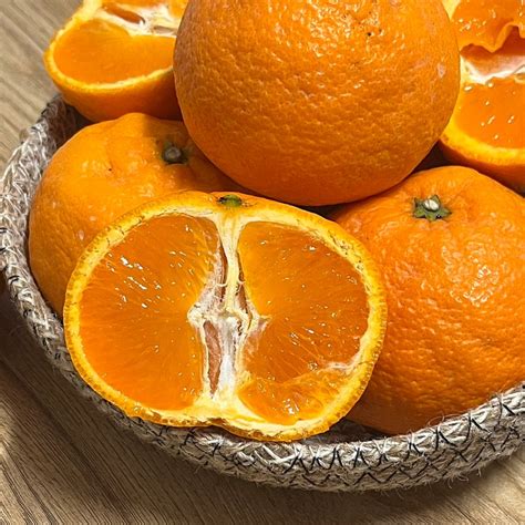 5월 제철 과일 고당도 만감류 우리동네과일대장 제주 카라향 2kg 후기 네이버 블로그