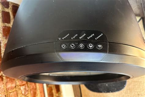 The Litter Robot 4 Is The Best Of The 23 Automatic Litter Boxes Weve Tested