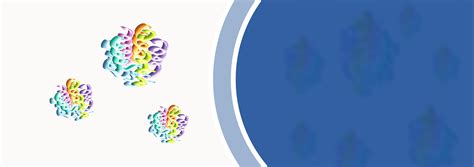 Keytec® Kinase Activity Assay Kit