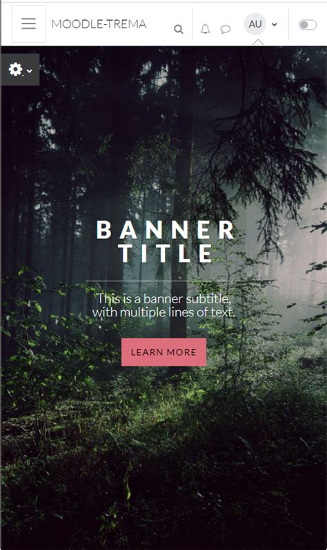 Logoname Of Site Does Not Appear When Viewing Site Administration On