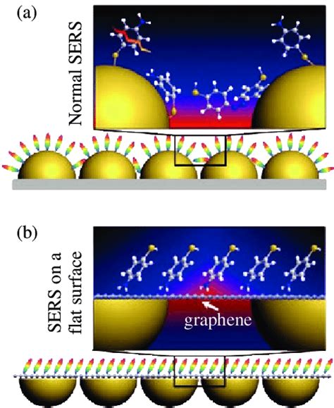 A Molecules On A Normal Sers Substrate And B Molecules On Flat