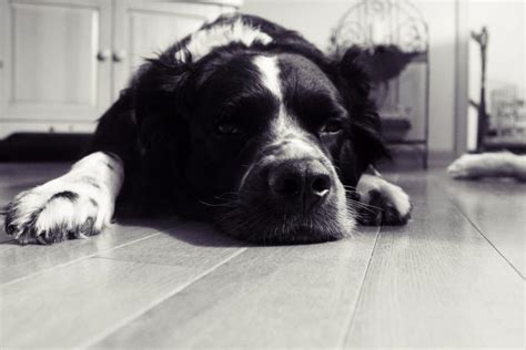 一行代码让你的tableview动起来 Ios动画