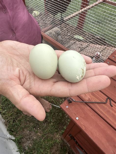 Full Circle Album On Imgur