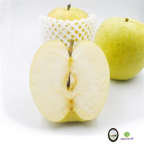 Japan Orin Apple Antoni World