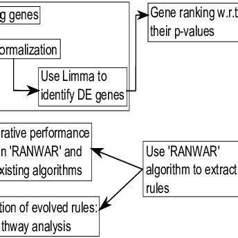 The Proposed Rule Mining Approach From Biological Data Download Scientific Diagram